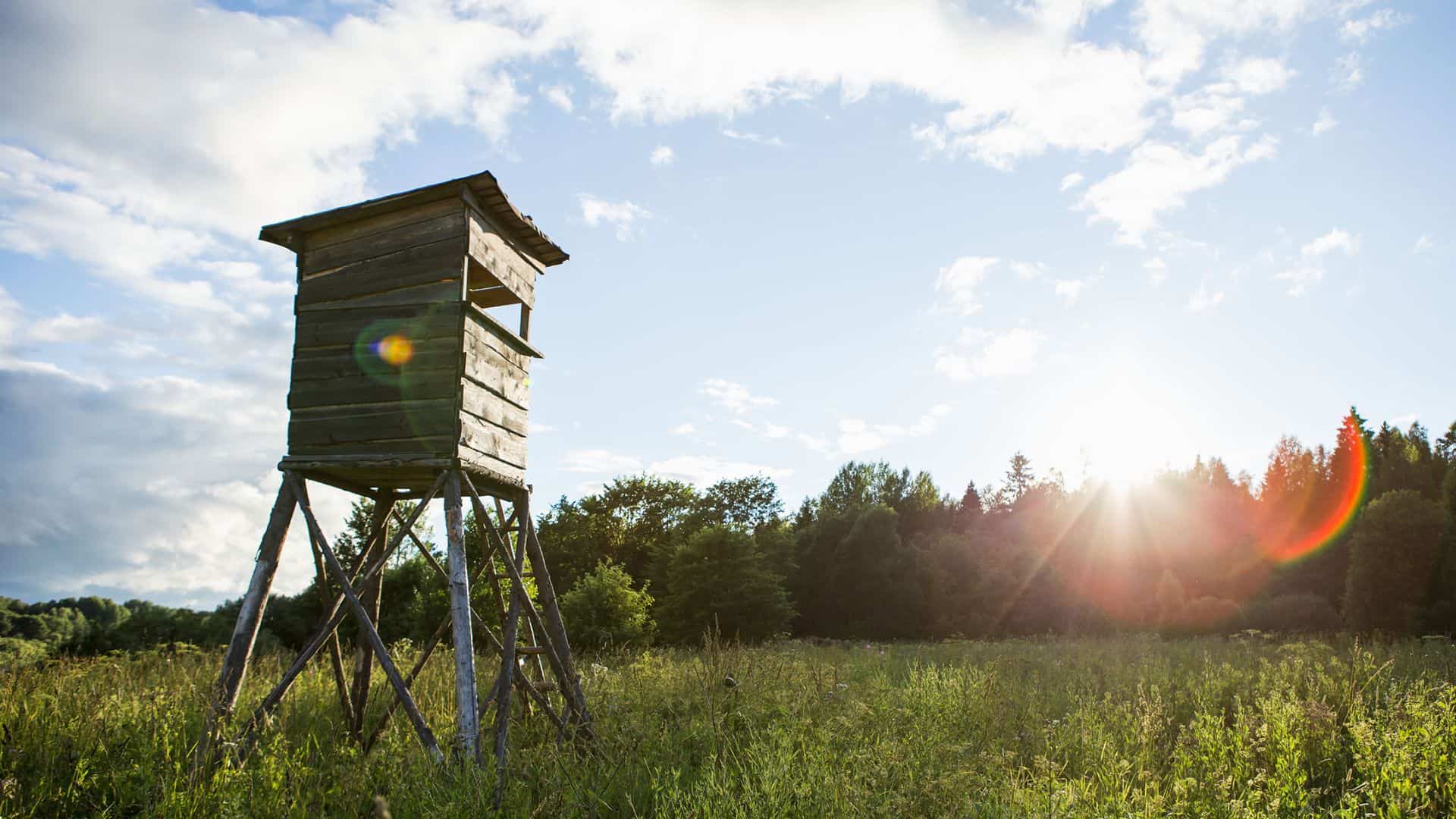 Québec Hunter, ça vient d’où? - Québec Hunter